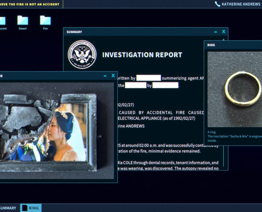 The Operator – ICO